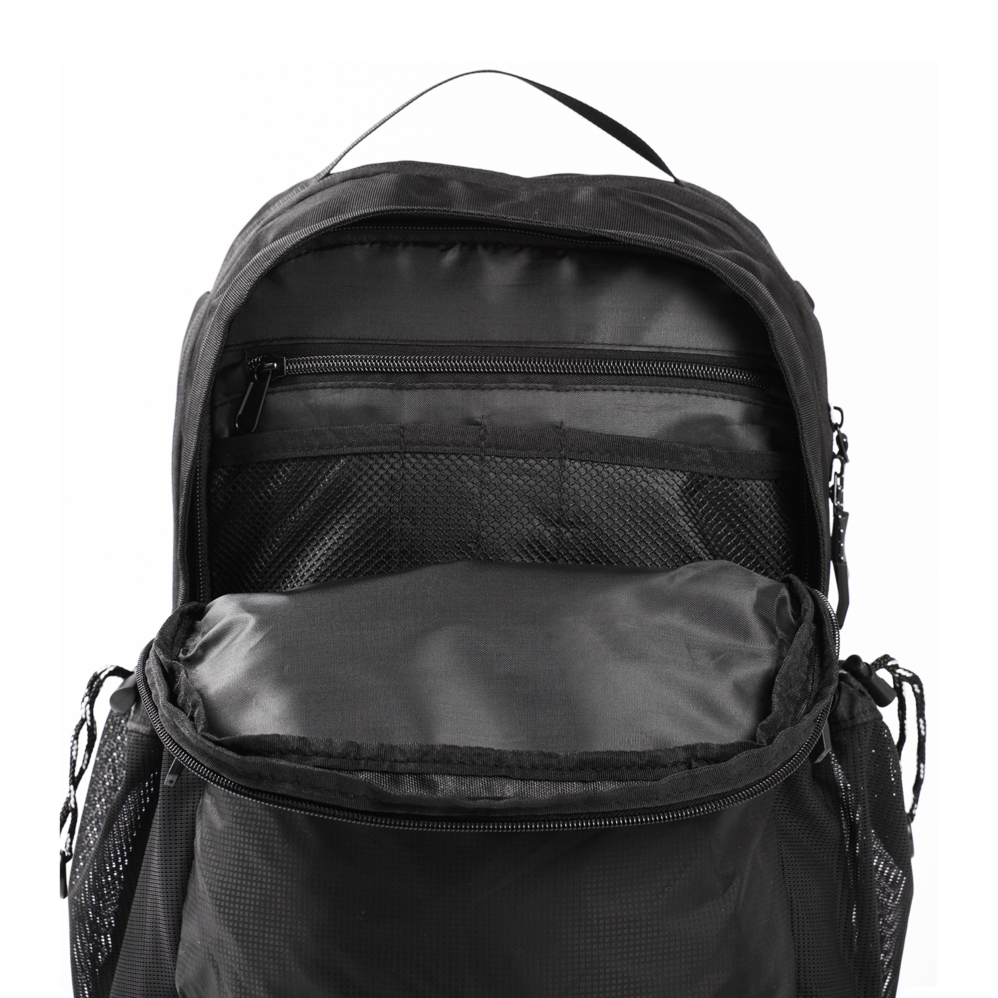 Morral Nervia | Lugano